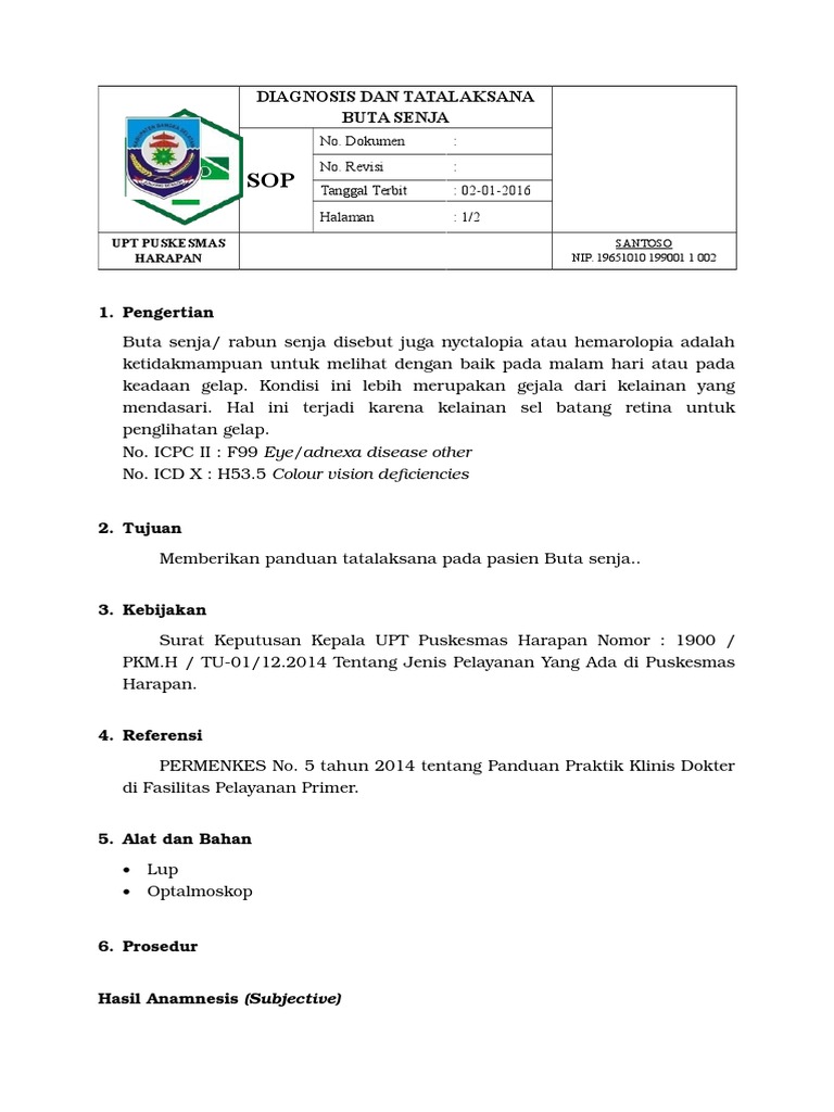 Diagnosis Dan Tatalaksana Buta Senja | PDF