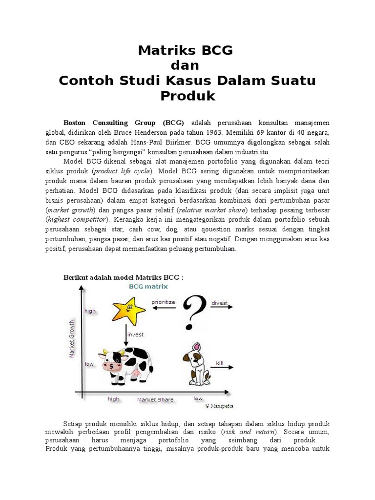 Matriks BCG Dan Contoh Studi Kasus Dalam Suatu Produk