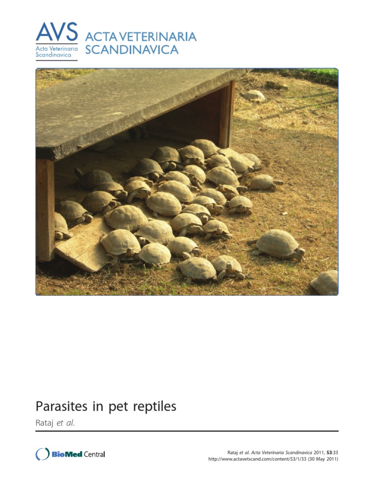 Parasites in Pet Reptiles | PDF | Lizard | Parasitism