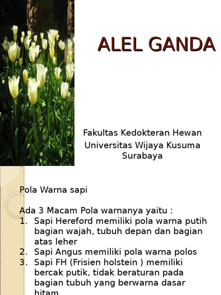 Alel Ganda | PDF