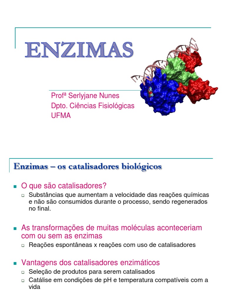 Bioquímica Das Enzimas Pdf Download Grátis Pdf Cinética Enzimática