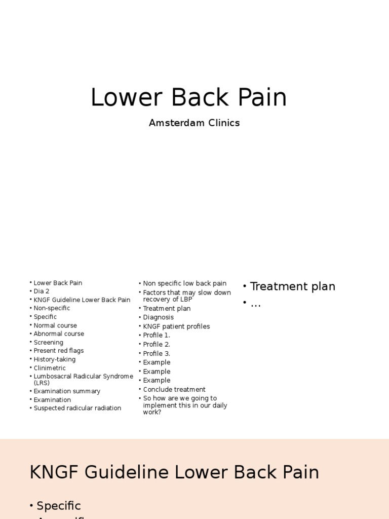 KNGF Guidelines for Low Back Pain Management | PDF | Back Pain | Low ...