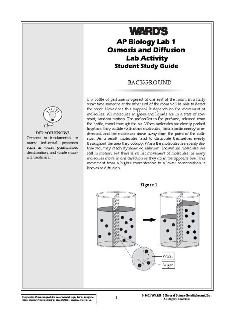 Diffusion & Osmosis Lab | PDF | Osmosis | Applied And Interdisciplinary Physics