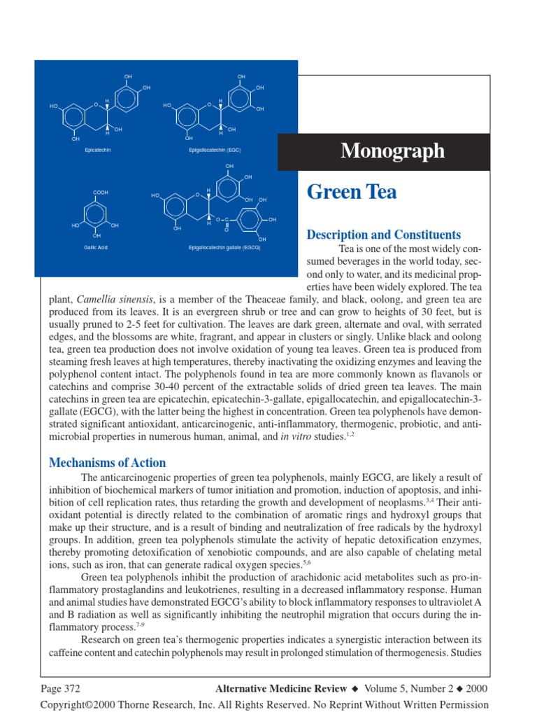 Green Tea | PDF | Green Tea | Polyphenol