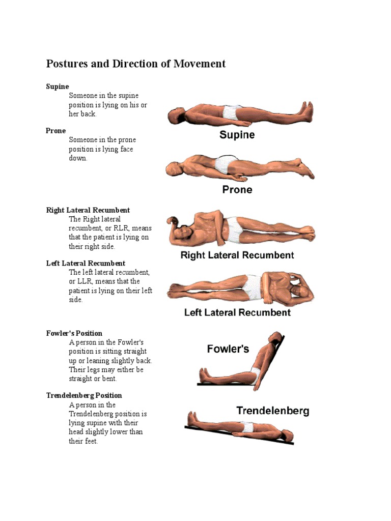 Postures and Direction of Movement | PDF