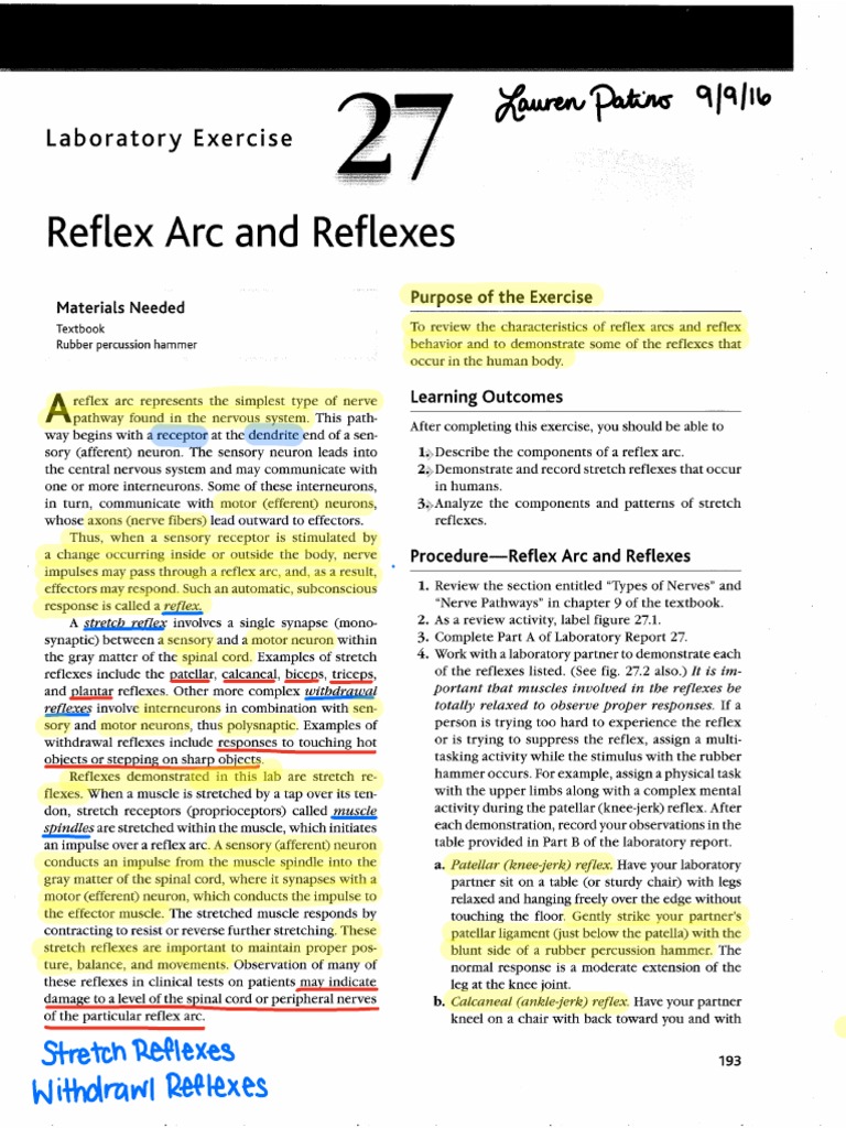 Reflex Lab | PDF