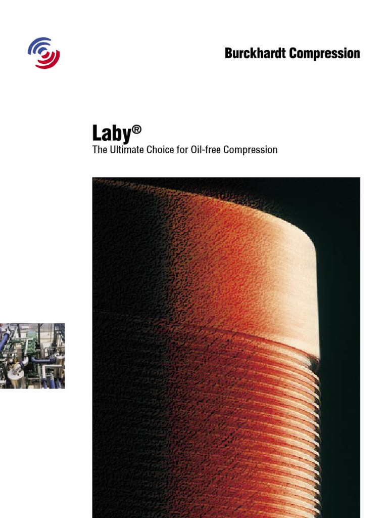 21 Laby e | PDF | Gas Compressor | Cylinder (Engine)
