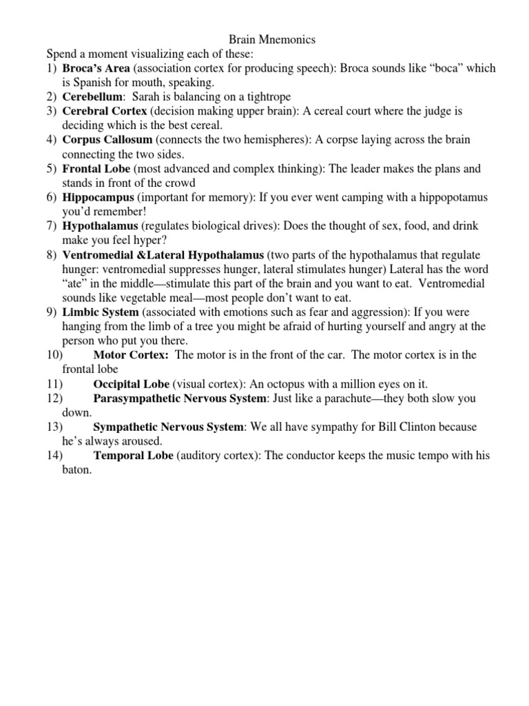 Brain Mnemonics PDF | PDF