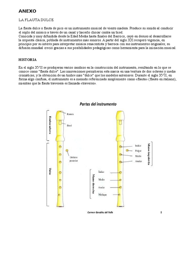 Historia y características de la flauta dulce | PDF | Ciencias sociales ...