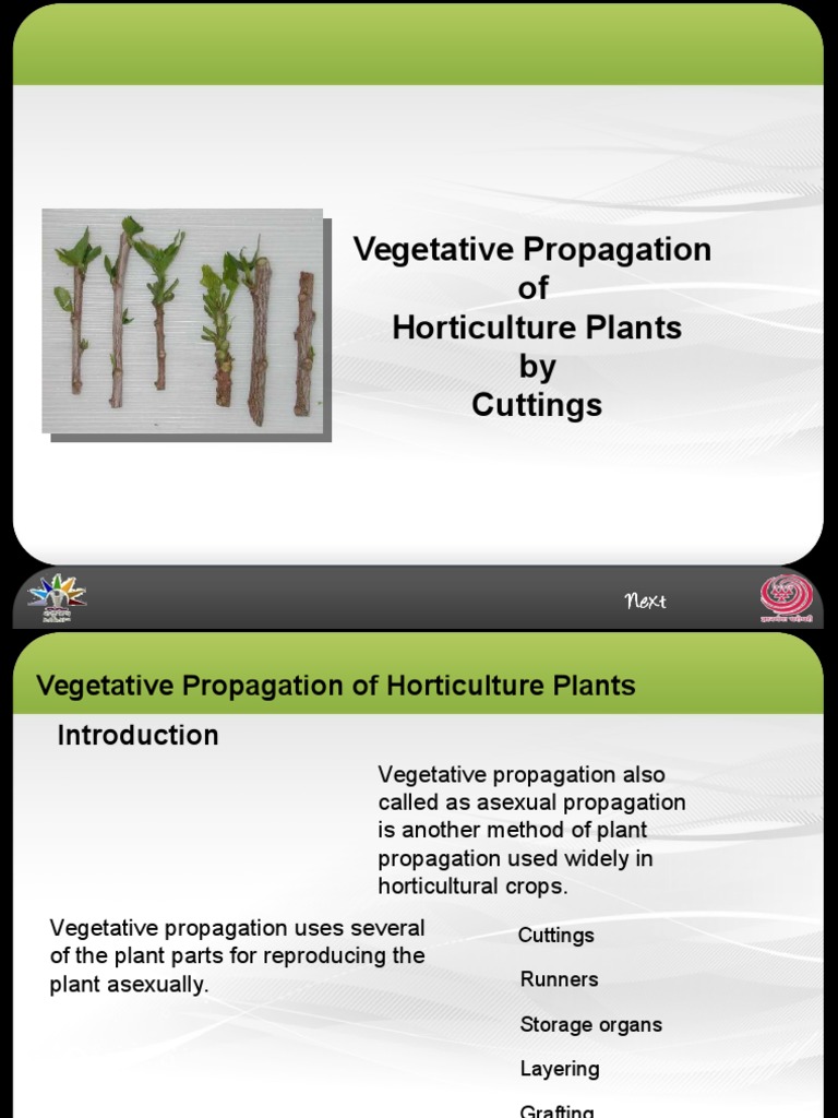Vegetative Propagation | PDF | Landscape Architecture | Gardening