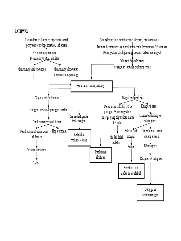 Pathway Gagal Jantung Akut dan Kronis | PDF | Sains & Matematika
