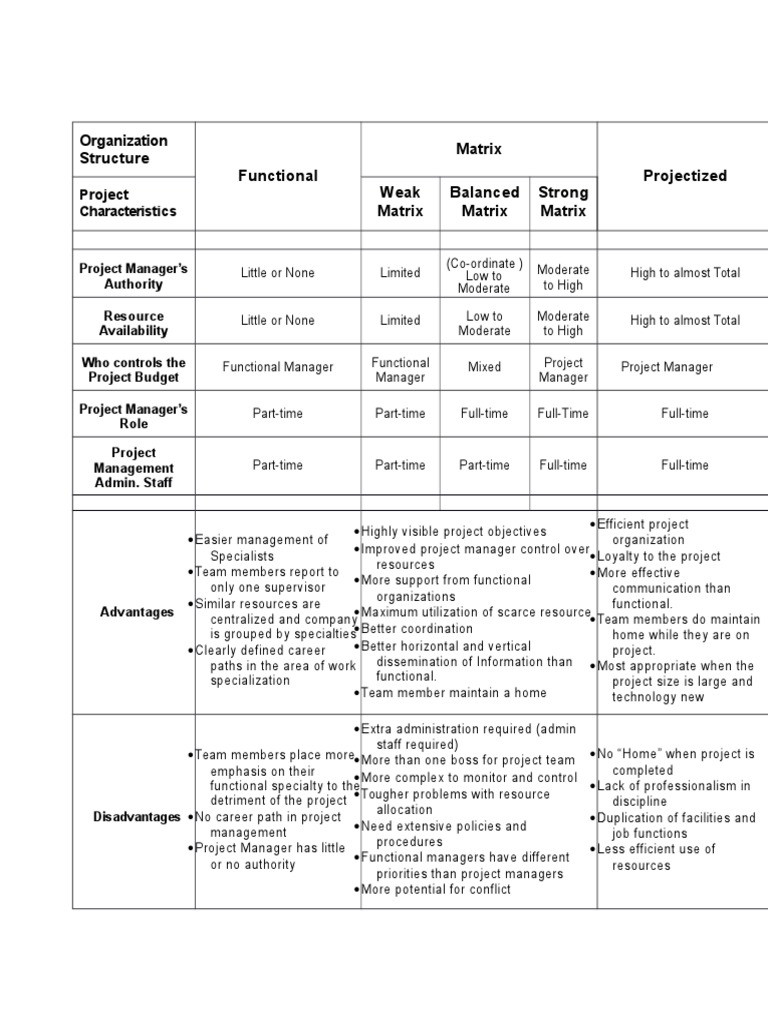 11 Organizational Structure A View | PDF