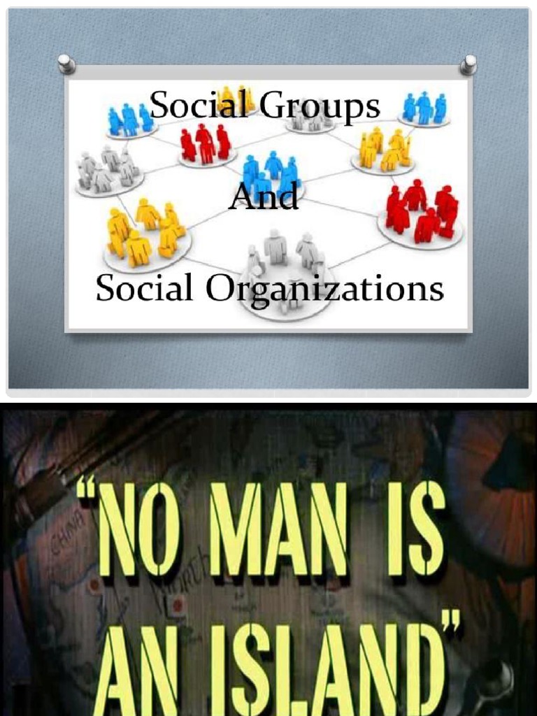 Social Organization and Structure | PDF | Social Group | Institution