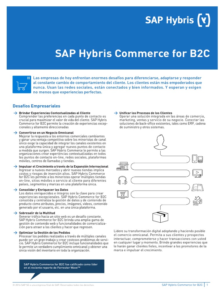 Sap Hybris Commers For b2c | PDF | Sap Se | Marketing