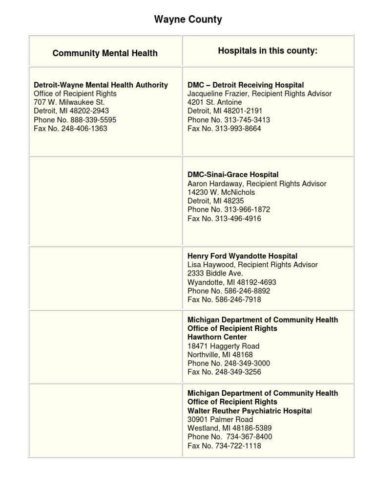 Wayne County Mental Health Resources | PDF | Politics