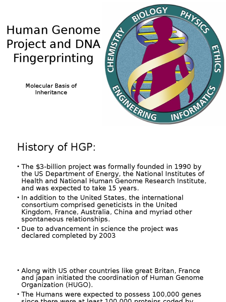 Human Genome Project and DNA Fingerprinting | Download Free PDF ...