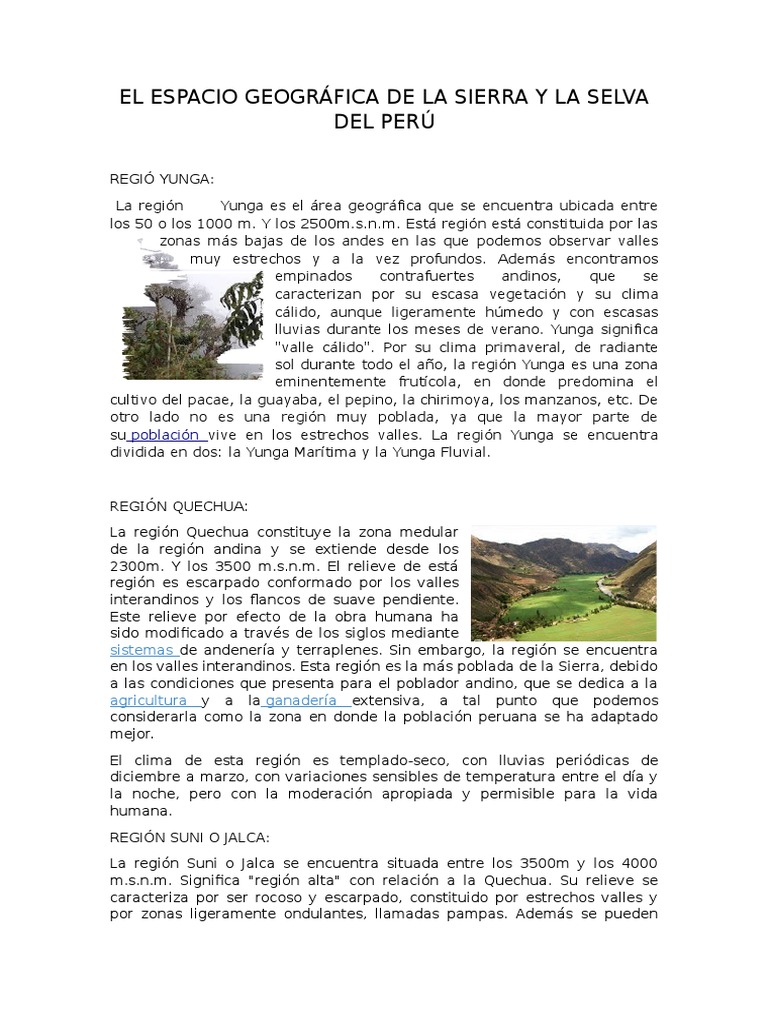 El Espacio Geográfica de La Sierra y La Selva Del Perú | PDF ...