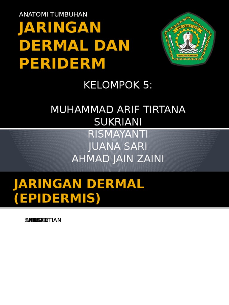 Jaringan Dermal Dan Periderm | PDF