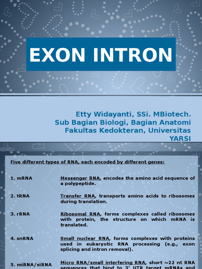1.5 Presentasi Ekson Intron | Messenger Rna | Rna Splicing