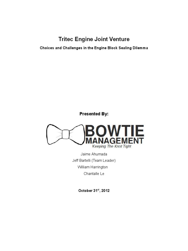 Tritec Case | PDF | Decision Making | Manufacturing And Engineering