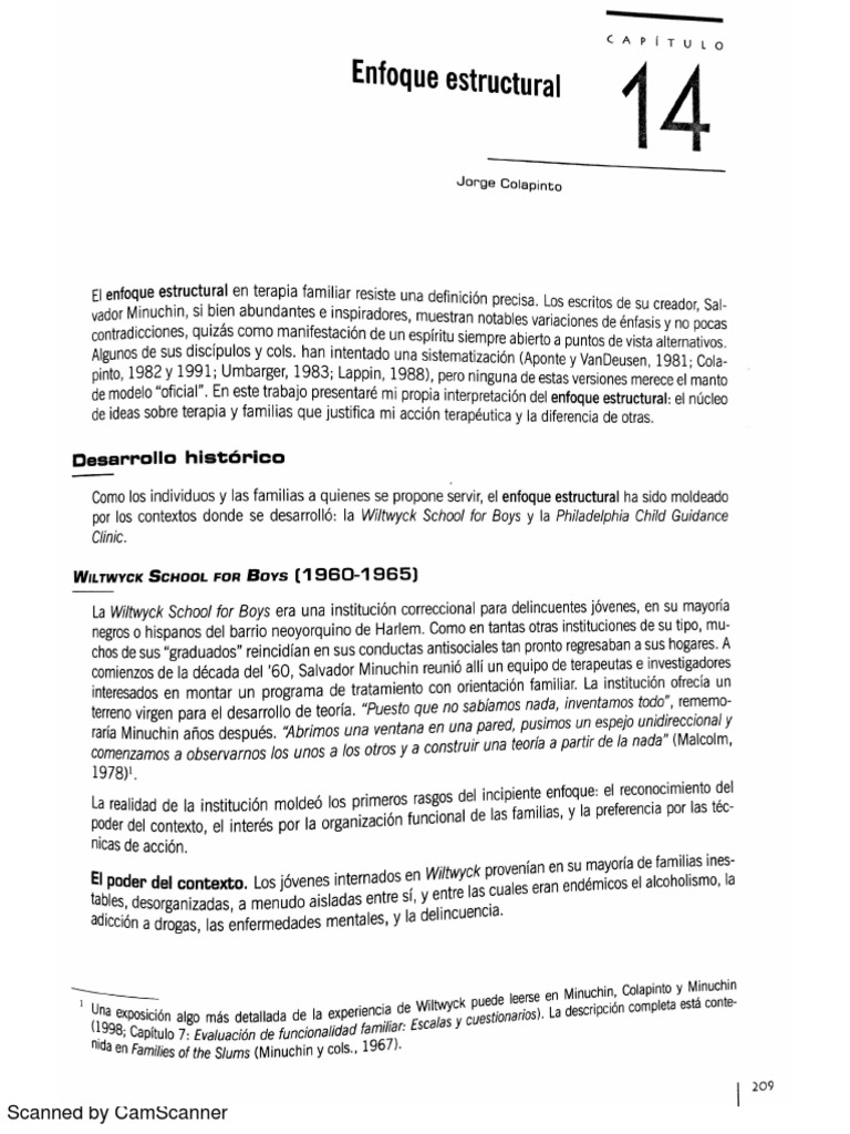 Colapinto, Enfoque Estructural. Cap14 Terapia Familiar y de Pareja, A. Roizblatt | PDF