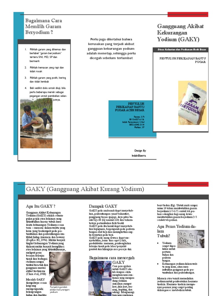 GAKY | PDF | Kesehatan Holistik