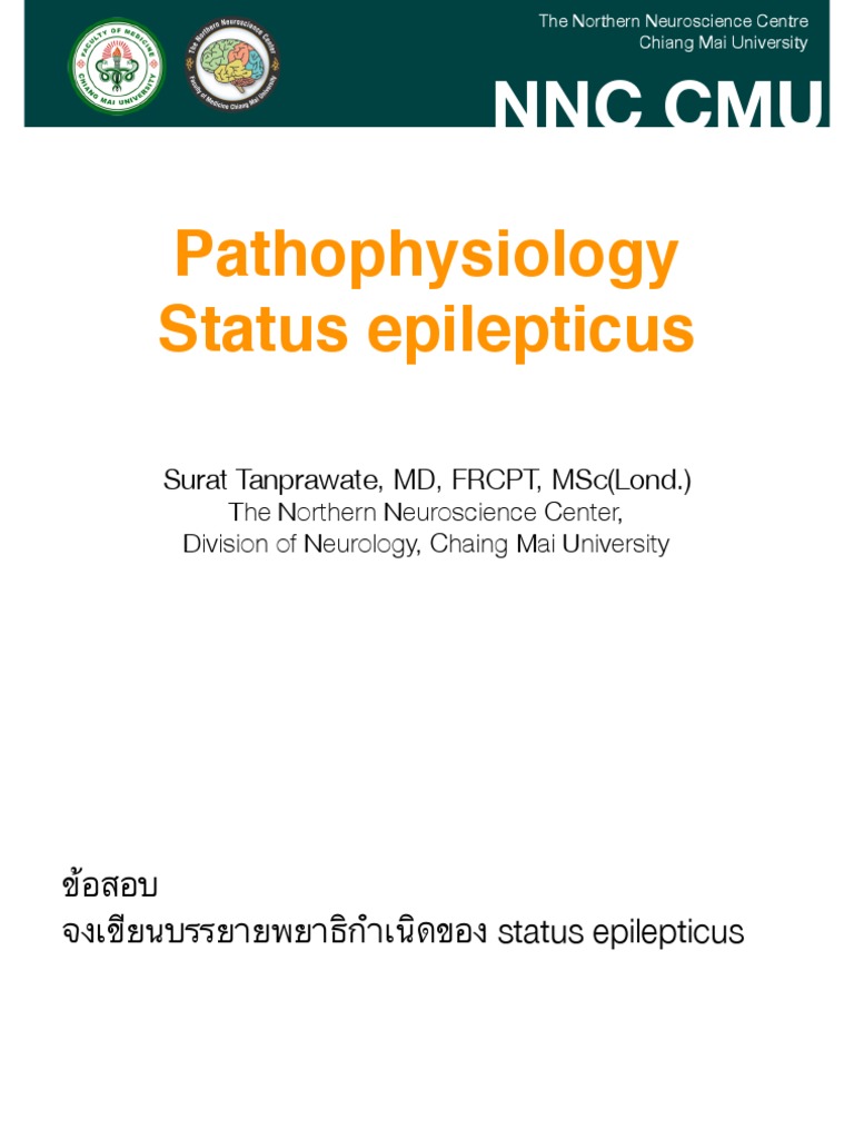 Status Epilepticus Pathophysiology | PDF | Epilepsy | Nervous System