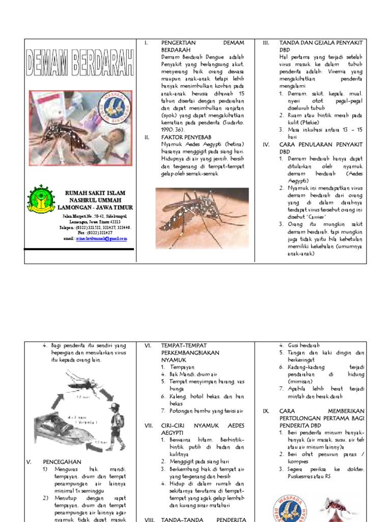 Demam Berdarah Dengue (DBD).pdf