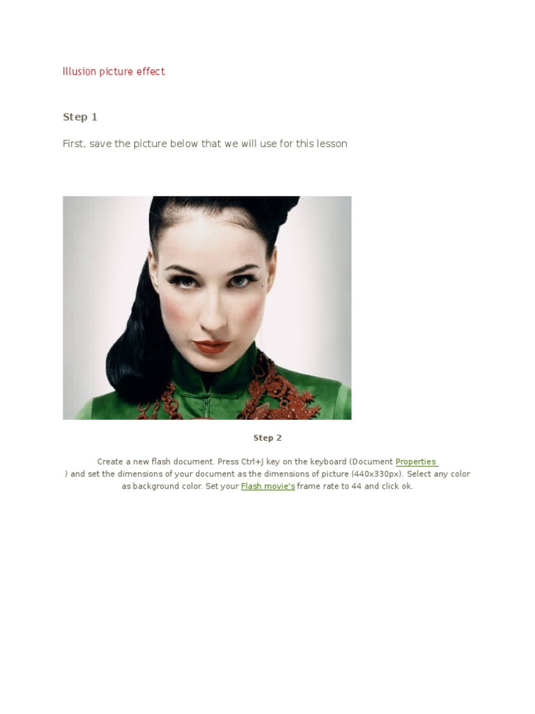 Illusion Picture Effect | PDF