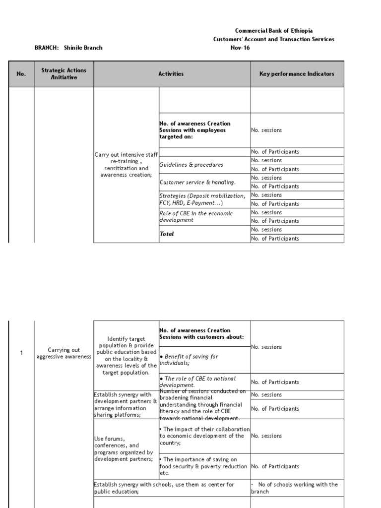 Shinile Branch Strategic Plan and Monthly Performance Report for ...