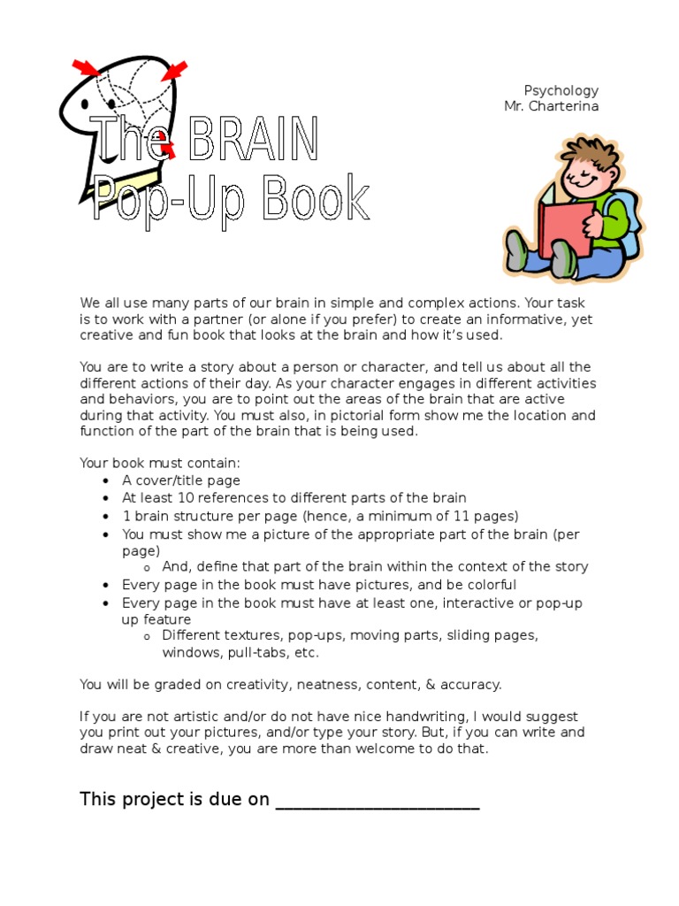 Brain Book Project | PDF | Brain | Books
