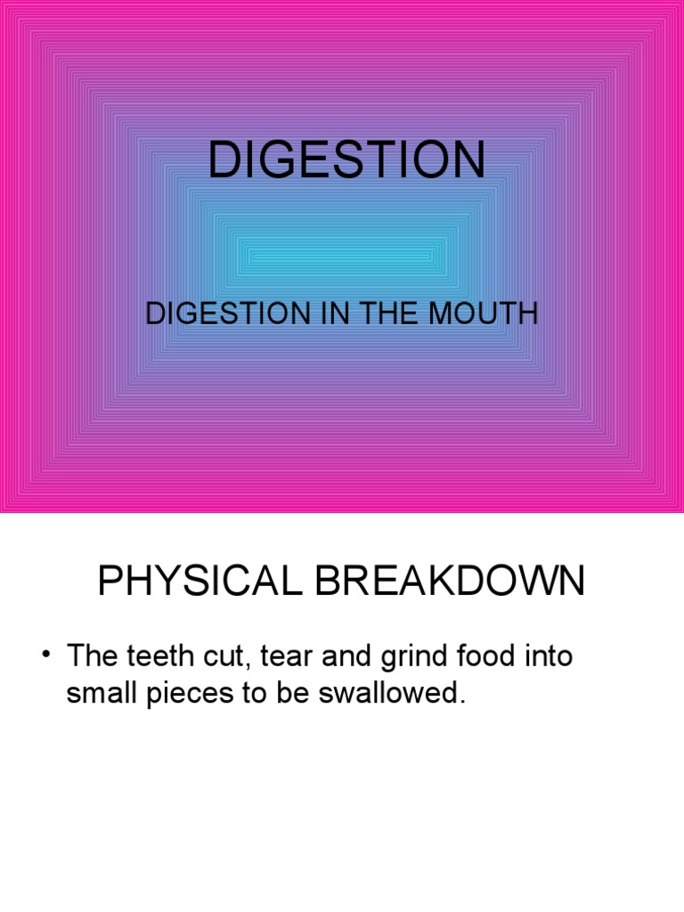 Digestion: Digestion in The Mouth | PDF