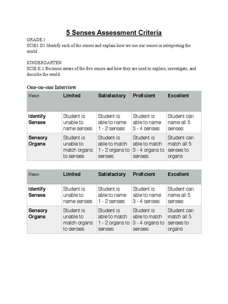 Portfolio 5 Senses | PDF
