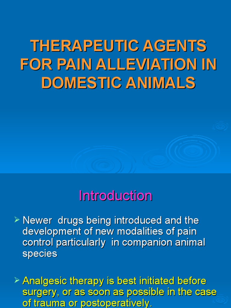 Analgesics for Domestic Animal Pain Relief | PDF | Analgesic ...