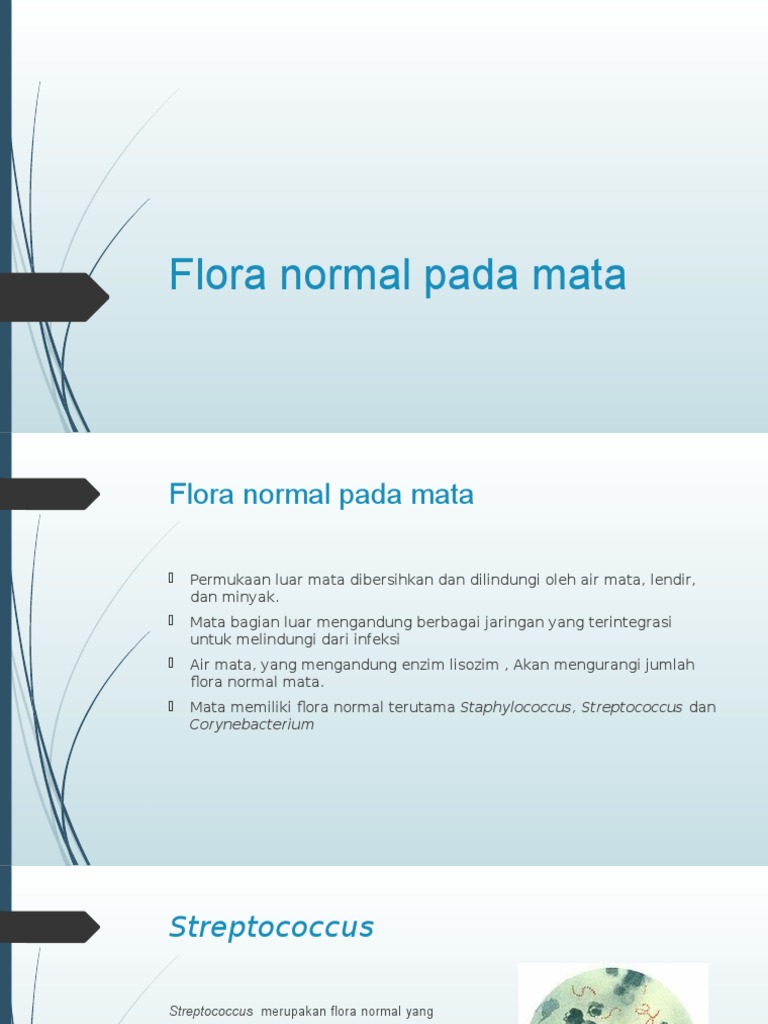 Flora Normal pada Mata dan Perannya | PDF | Kesehatan Holistik | Sains ...