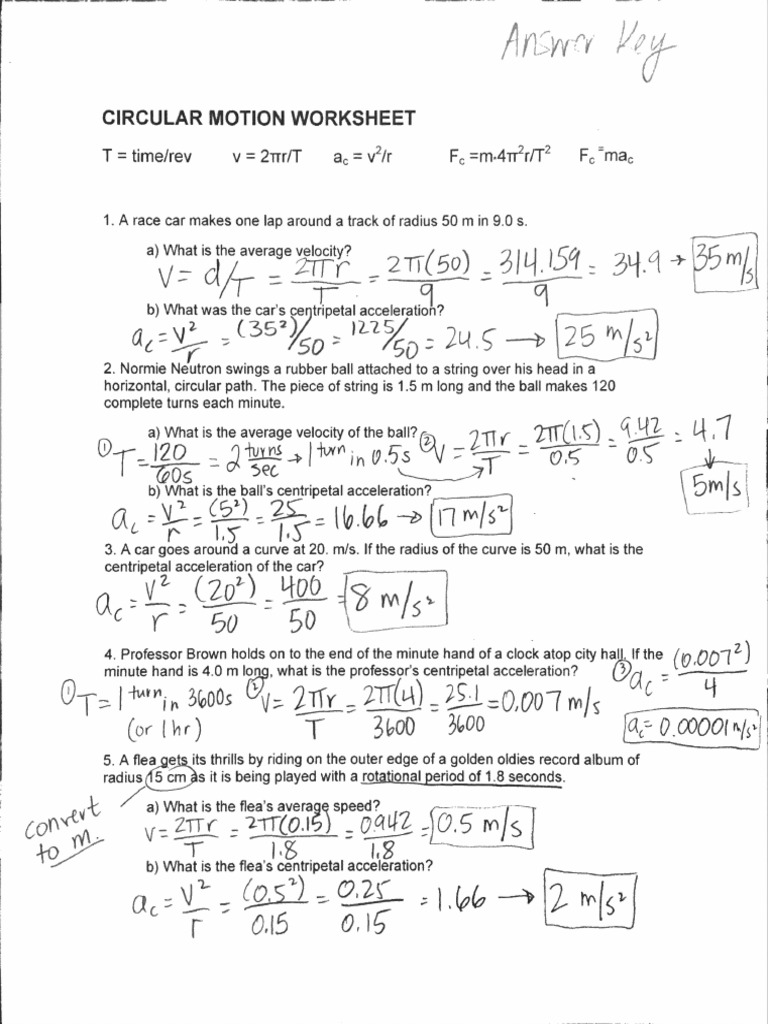 Station 5 FC Worksheet Answer Key | PDF