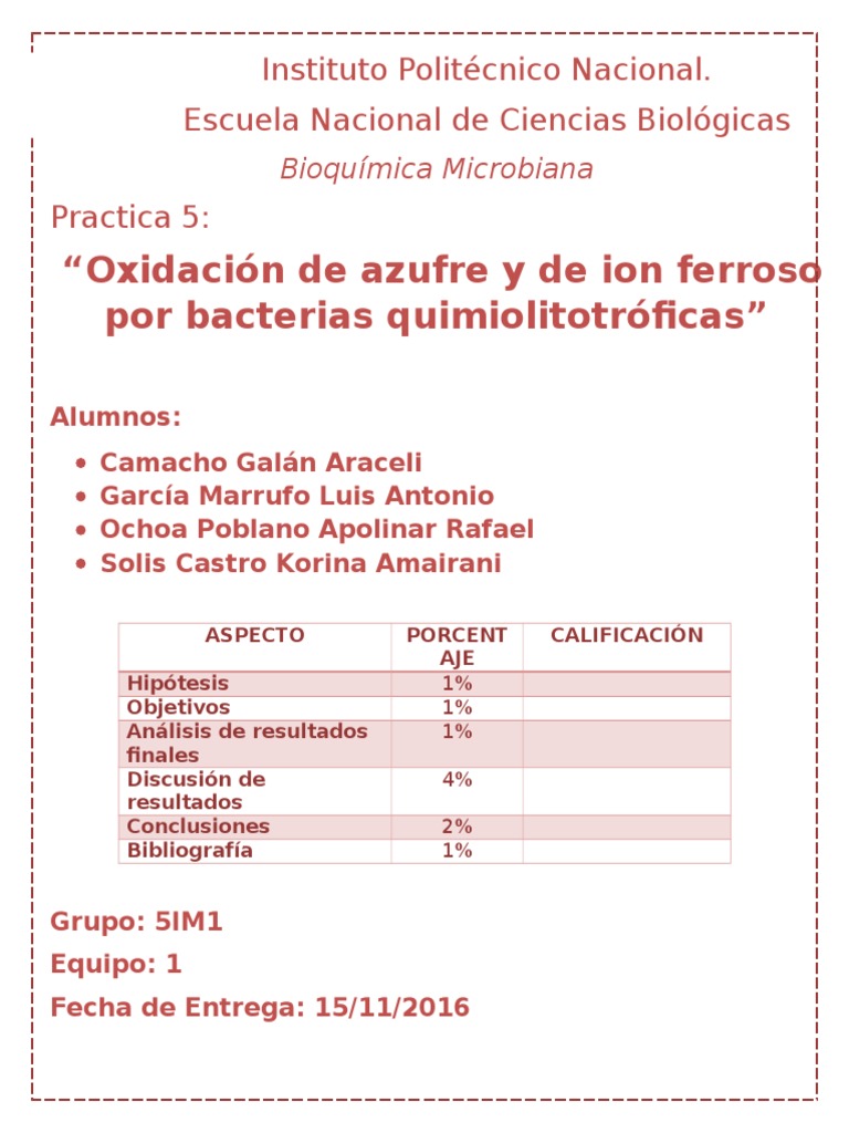 "Practica 5. Oxidación Del Azufre y Del Ion Ferroso Por Bacterias ...