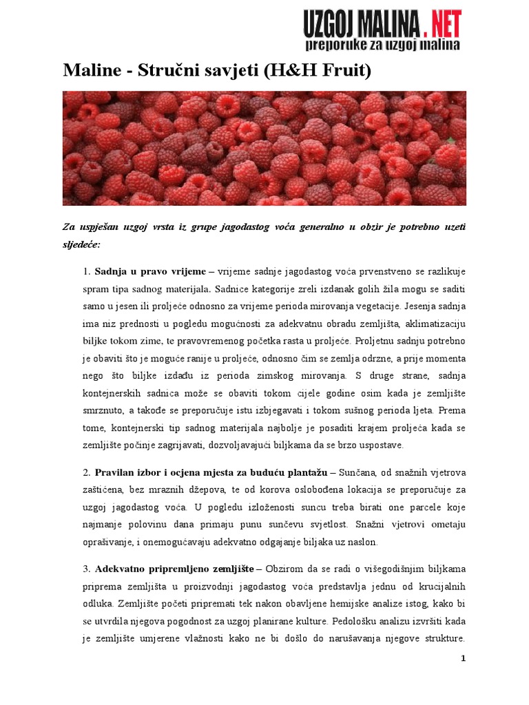 Maline - Stručni Savjeti (H&H Fruit) | PDF