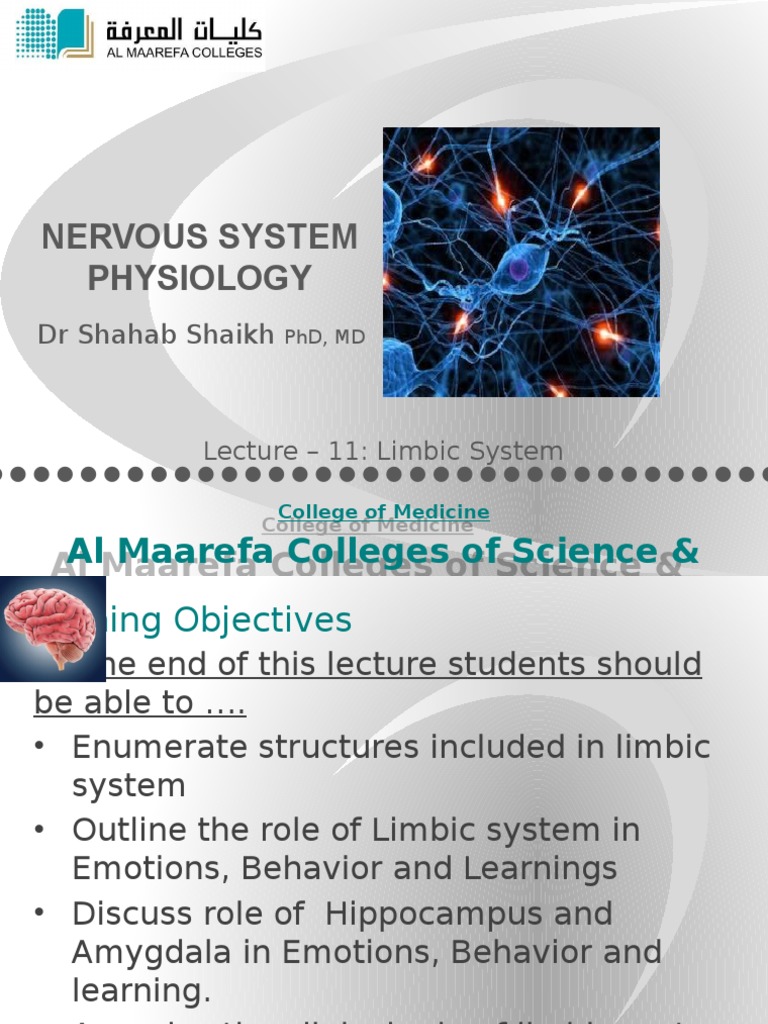 Physiology of Limbic System by DR Shahab | PDF | Limbic System | Amygdala
