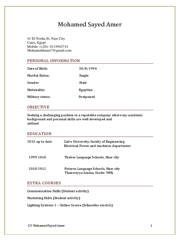 C.V Mohamed Sayed Amer | PDF