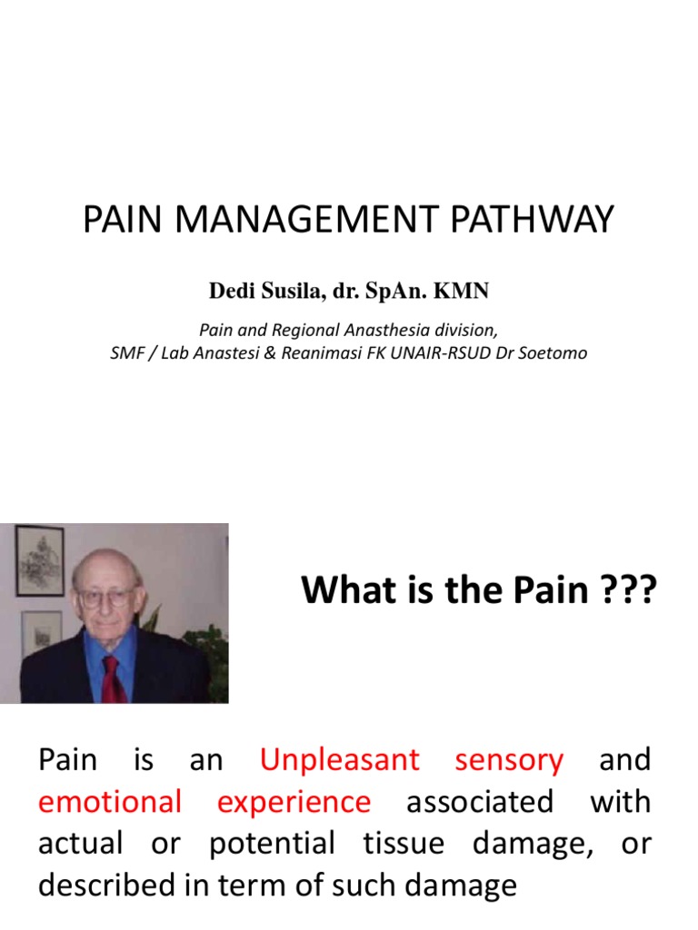 Pain Management Pathway: Dedi Susila, Dr. Span. KMN | PDF | Analgesic ...
