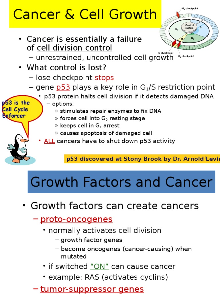 Cell Growth Control and Cancer Development | PDF | Neoplasms | Cell Growth
