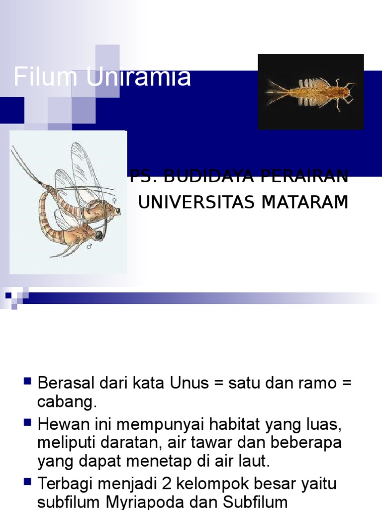 Filum Uniramia | PDF