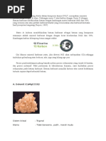 Analisis Mineral Optik: PPL dan XPL | PDF