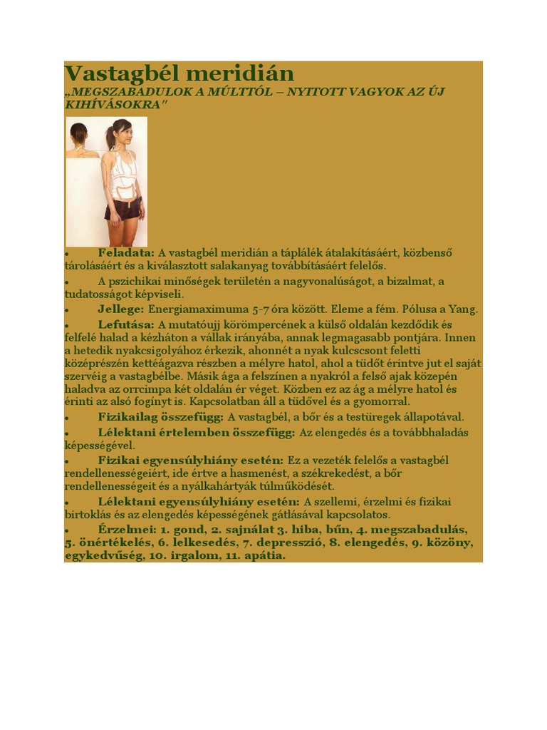 Vastagbél Meridián | PDF