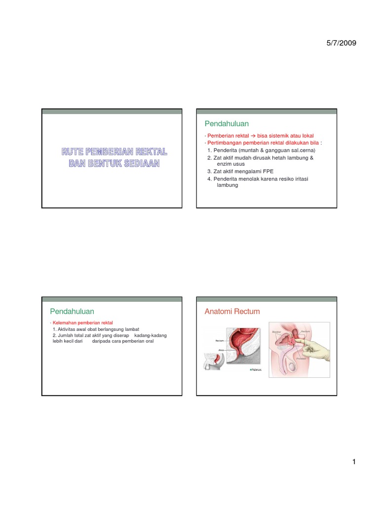 Rute Rektal | PDF