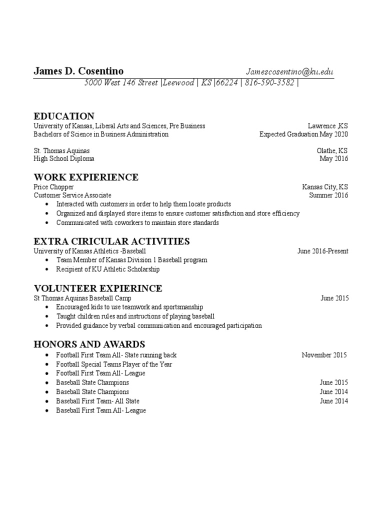James D. Cosentino's Resume Summary | PDF | Career & Growth | Business