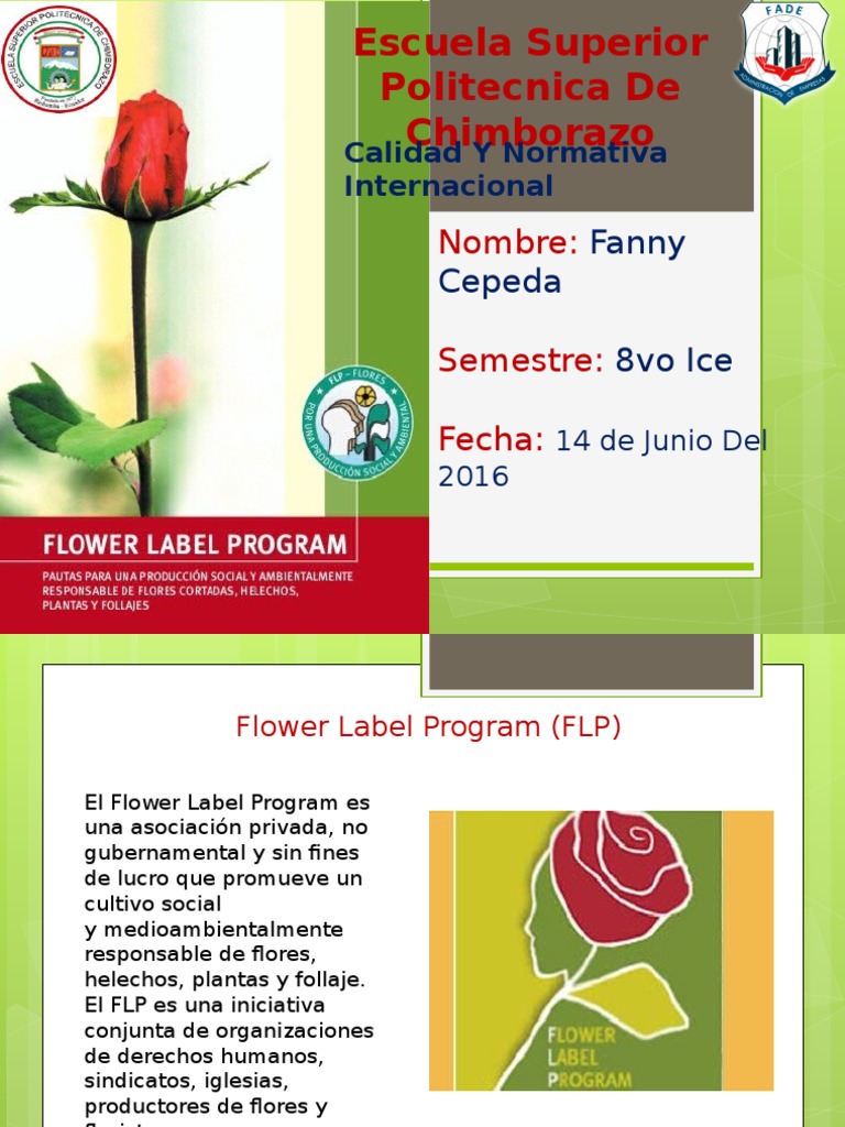 Programa de Etiquetado de Flores | PDF