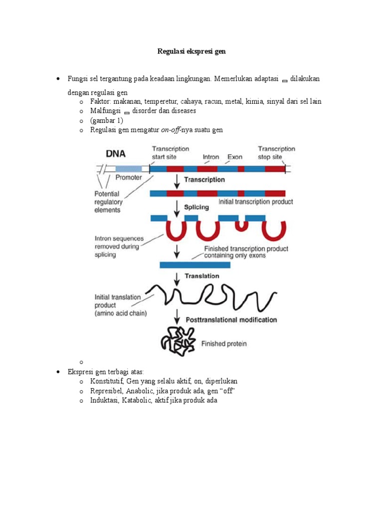 Regulasi Ekspresi Gen | PDF