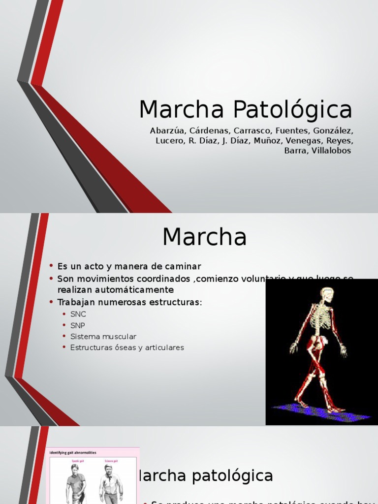 Tipos de Marcha Patológica y Semiología | PDF | Rodilla | Pie